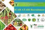 MP ICAR ATARI Recruitment 2026 - Vacancy For Various Posts